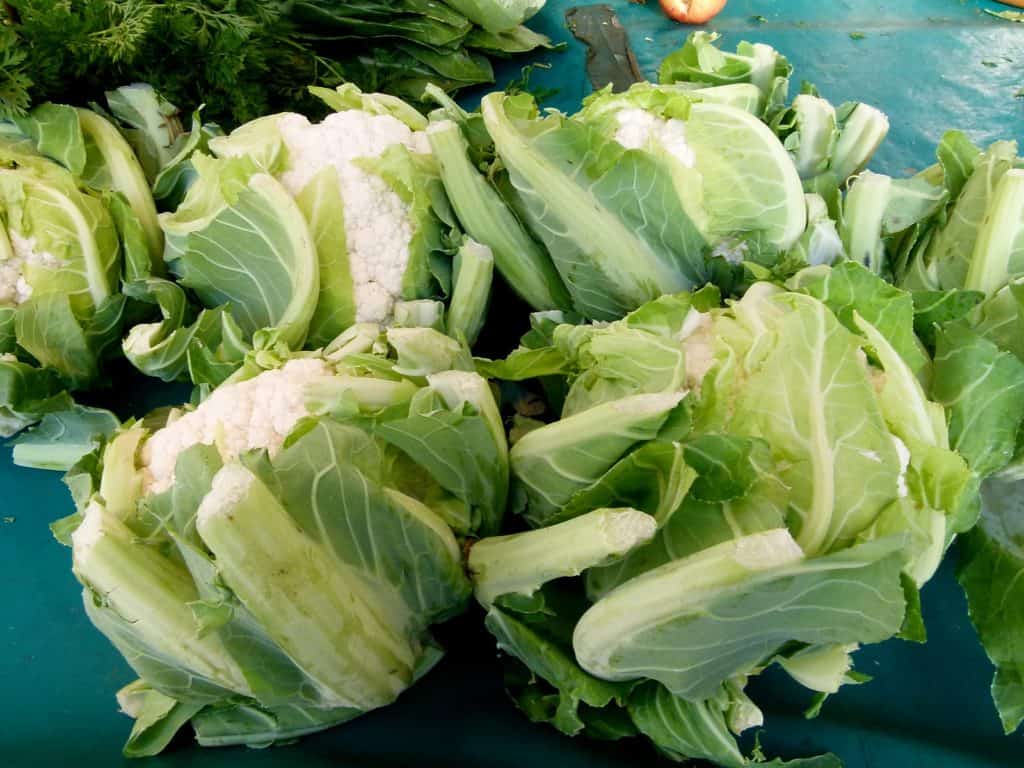 How Big Does Cauliflower Grow? – greenupside