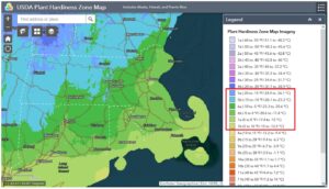 What Zone Is Massachusetts For Plants? (East, Central, West) – greenupside