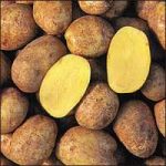 Growing Yellow Potatoes (25 Yellow Potato Varieties To Try) – greenupside