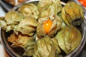 What Is Ground Cherry? (5 Key Things To Know) – greenupside